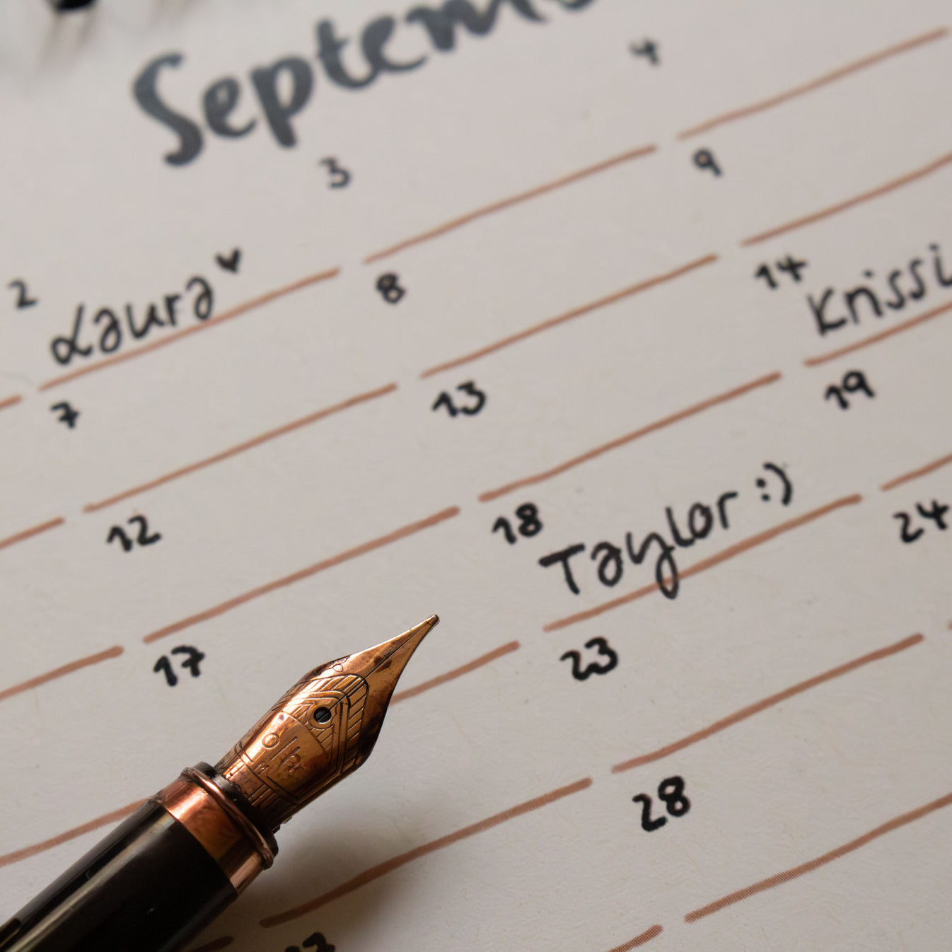 Gnomes | Birthday CALENDAR – studiosatsch